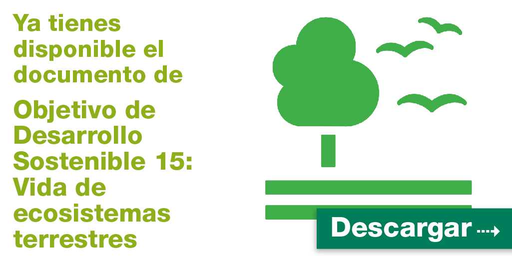 Guía de ayuda para la implantación de los Objetivos de Desarrollo ...