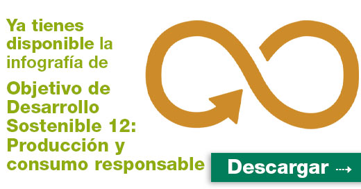 Infografía Del Objetivo De Desarrollo Sostenible 12 Producción Y