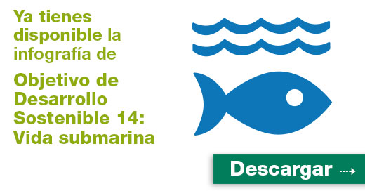 Infografía del Objetivo de Desarrollo Sostenible 14 - AEC